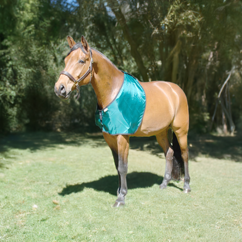 Bossy's Bibs / Protection for Shoulders, Chest & Withers – Bossys Bibs Ltd