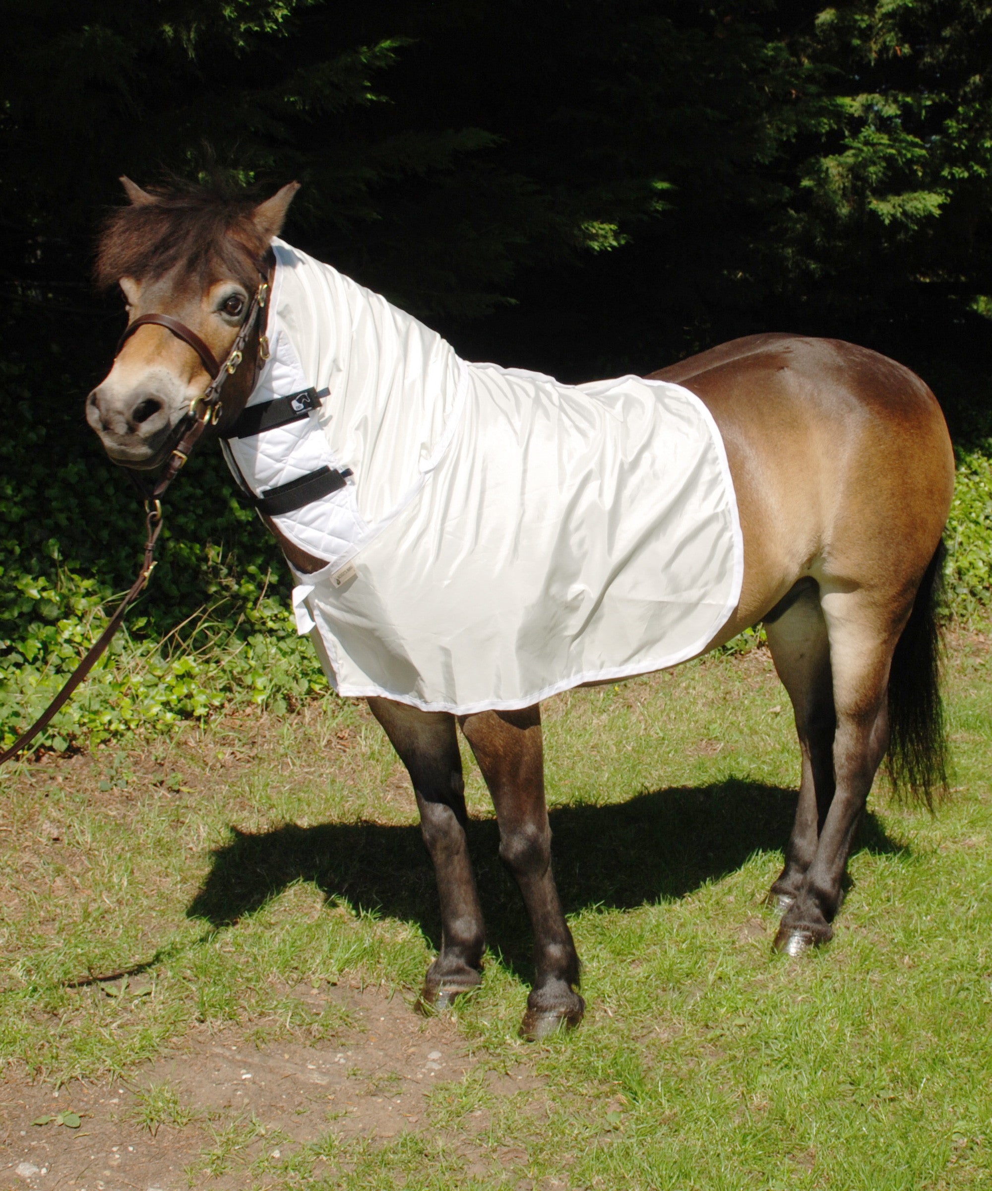 Bossy's Bibs ManeGuards | for Rug Rubs Cure and Prevention – Bossys ...